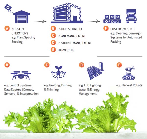 Shaping Smarter Cities: Vertical Farms Thrive With Help from Tech